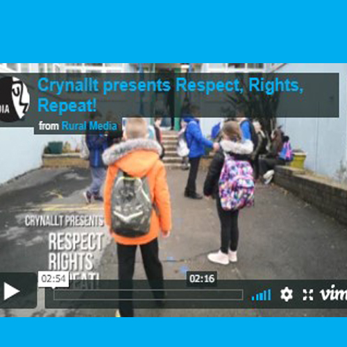Crynallt - Rights Respecting Schools Award